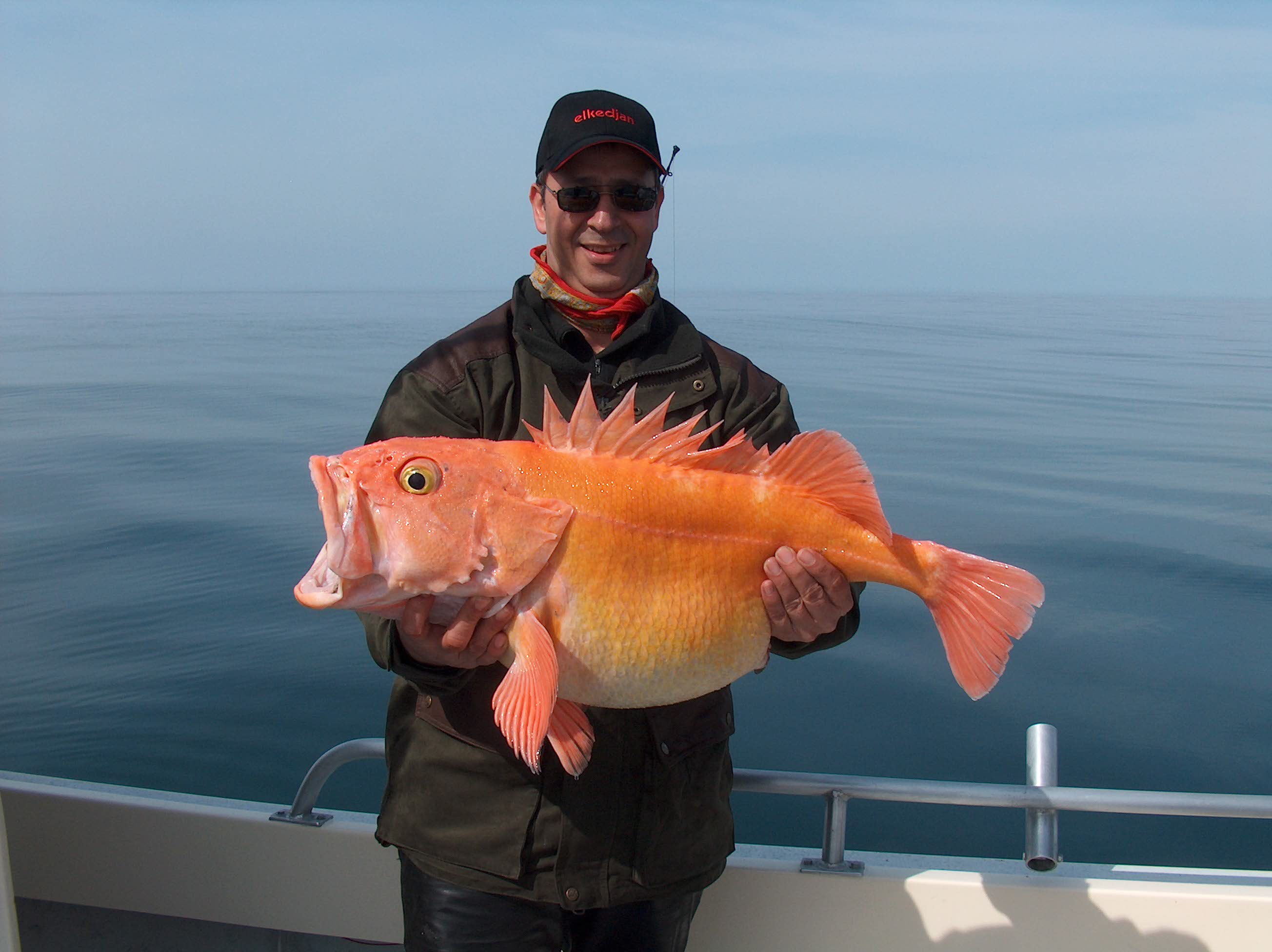 Rockfish Photos | Crackerjack Sportfishing Charters Seward Alaska